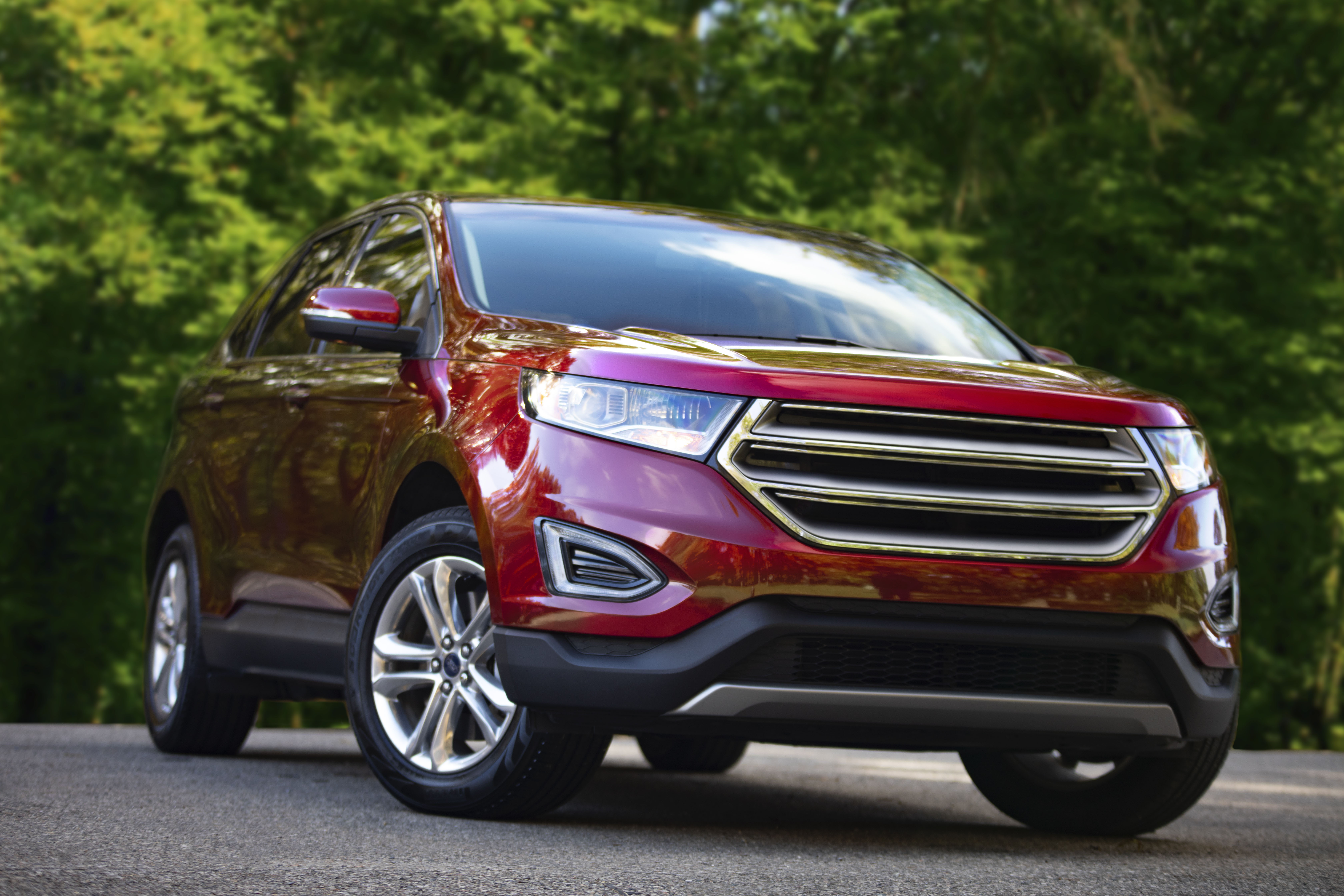 The Ultimate Guide to Paint Protection: How to Keep Your Car Looking New