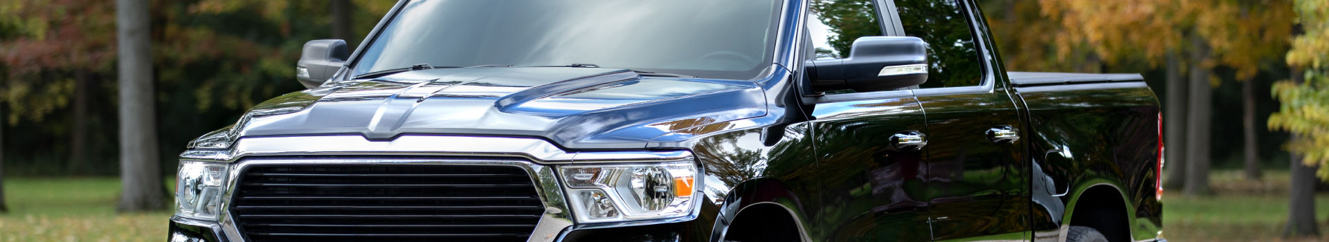 Diamond Gloss® Car Paint Protection Service - Ziebart