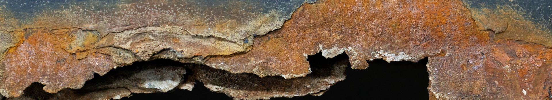 Rust Protection and Proofing | Auto Care Services | Ziebart