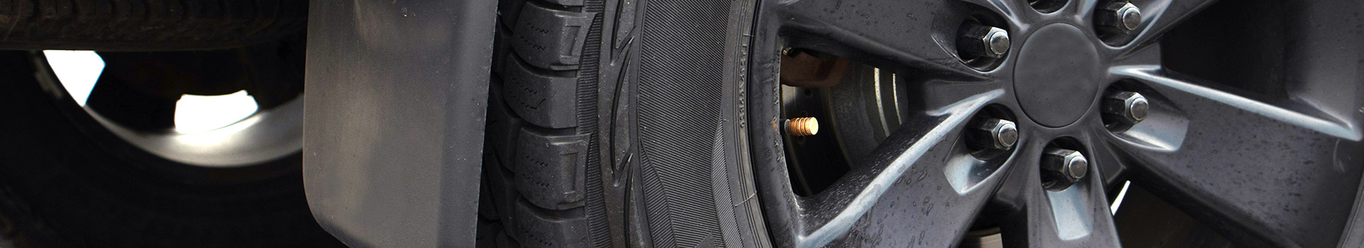 Mud Flaps: Tire Splash Guards - Ziebart